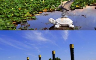 西昌旅游必去景点有哪些_邛海泸山怎么玩