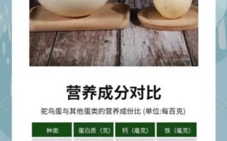 鸵鸟蛋的营养价值_鸵鸟蛋怎么吃最营养