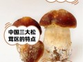 松蘑图片怎么分辨真假_松蘑和松茸的区别