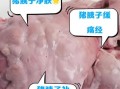 猪胰腺的功效与作用_猪胰腺怎么做好吃