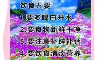 怎样科学健康饮食_健康饮食10条原则