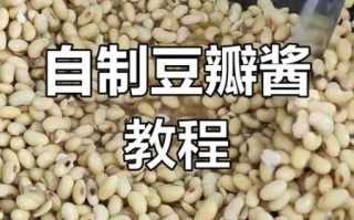 豆瓣酱怎么做最正宗_豆瓣酱的做法视频