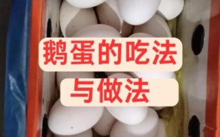 鹅蛋怎么做好吃_鹅蛋怎么吃最营养