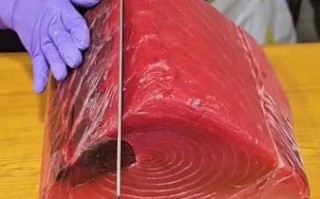 金枪鱼刺身怎么切_金枪鱼刺身需要解冻多久