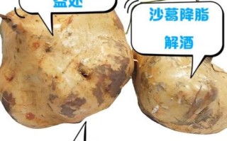 沙葛可以生吃吗_生吃沙葛安全吗