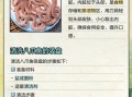 迷你八爪鱼怎么清洗_迷你八爪鱼清洗技巧