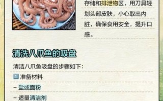 迷你八爪鱼怎么清洗_迷你八爪鱼清洗技巧