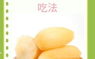 雪莲果怎么吃好吃_雪莲果的做法大全