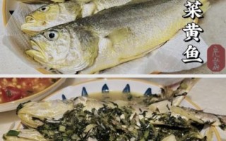 雪菜小黄鱼怎么做好吃_雪菜小黄鱼的家常做法窍门