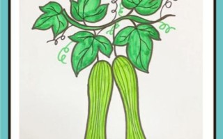 丝瓜图片大全卡通_丝瓜卡通怎么画