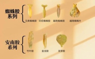 鱼胶哪种好_鱼胶品种怎么选