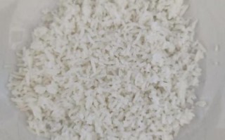 剩米饭做早餐饼怎么做_剩米饭早餐饼简单做法