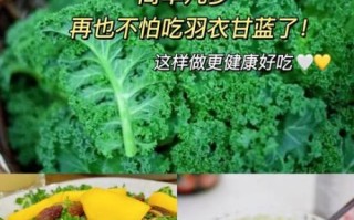 绿甘蓝怎么做好吃_绿甘蓝的家常做法大全