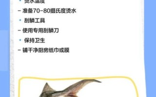 鲟鱼怎么清理_鲟鱼去鳞视频教程