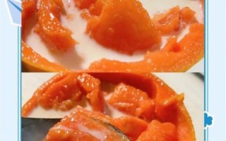 木瓜怎么吃最好_木瓜的做法大全