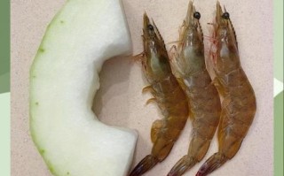 冬瓜虾仁饺子馅怎么做_冬瓜虾仁饺子馅怎么调才鲜