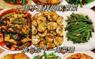 家常菜的做法大全_新手如何快速上手