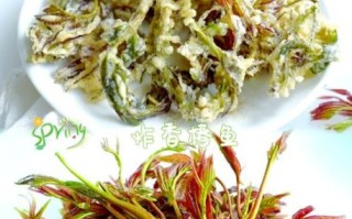 香椿怎么吃最好吃_香椿有几种吃法