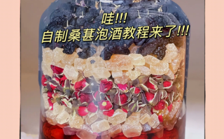 自制桑葚酒的功效与作用_桑葚酒怎么喝才健康