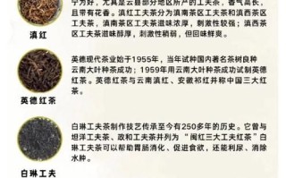 红茶指的是哪些茶_红茶有哪些品种
