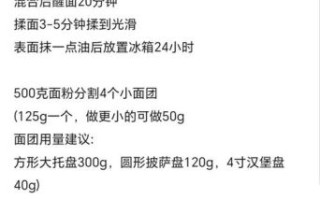 学做披萨_披萨面团怎么发酵