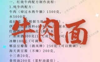 正宗牛肉面怎么做_牛肉面配方比例