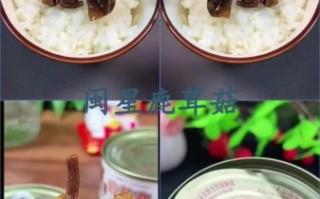 洋菇罐头怎么保存_洋菇罐头可以生吃吗