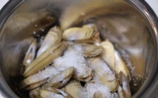 蛏子怎么吃_蛏子怎么清洗
