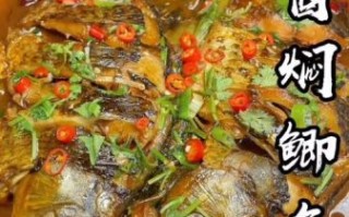 酱鲫鱼怎么做好吃_家常酱鲫鱼做法