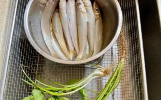 小沙丁鱼怎么做好吃_小沙丁鱼的做法大全