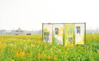 油菜花节怎么玩_油菜花节有哪些活动