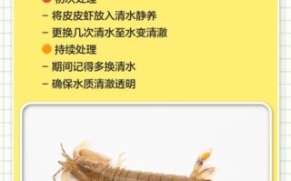 皮皮虾怎么处理虾线_去虾线最简单的方法