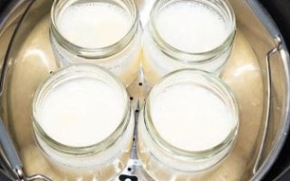 酸奶机做酒酿的做法_酸奶机酒酿失败原因