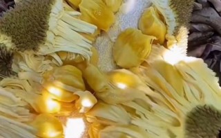 菠萝蜜干苞和湿苞的区别_哪个更好吃