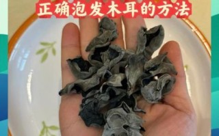 黑3木耳怎么泡发_黑3木耳的副作用有哪些