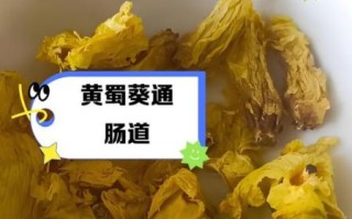 黄蜀葵花伤肝吗_黄蜀葵花肝脏副作用真相