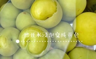 李子酱怎么做_李子酱保存多久