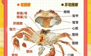 花蟹怎么杀_哪些部位不能吃