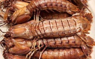 皮皮虾蒸多久最好吃_蒸皮皮虾用大火还是小火