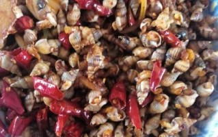 辣炒海丁怎么做_辣炒海丁的家常做法