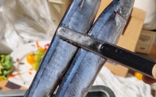 秋刀鱼是海鱼还是淡水鱼_秋刀鱼生活在哪里