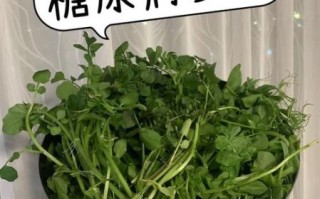 吃什么菜降血糖最快_糖尿病人吃什么蔬菜最好