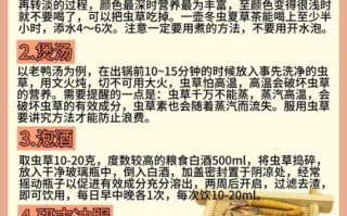 冬虫夏草怎么吃最好_冬虫夏草一天吃几根
