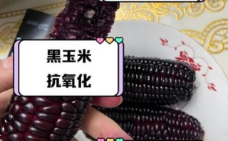 黑玉米能减肥吗_黑玉米减肥怎么吃
