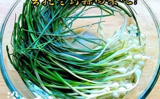 野生小蒜怎么腌好吃_腌小蒜的正确方法
