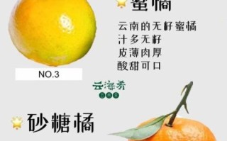 最好吃的柑橘品种有哪些_如何挑选最甜柑橘