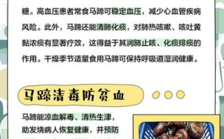 马蹄治什么病_马蹄的功效与作用