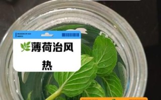 薄荷水可以天天喝吗_薄荷水副作用有哪些