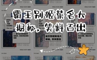 霸王别姬菜名英文翻译_霸王别姬英文菜名怎么写