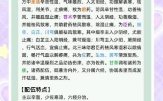 羌活胜湿汤的功效与作用_适合哪些人群